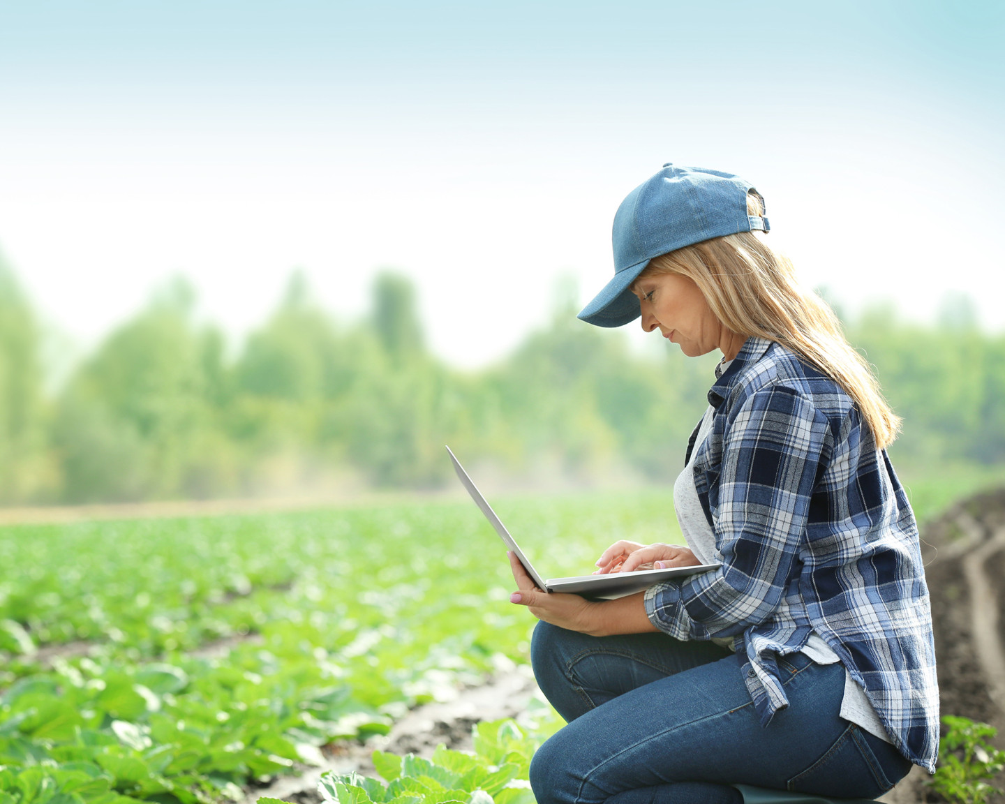 System integration - PKF Digital